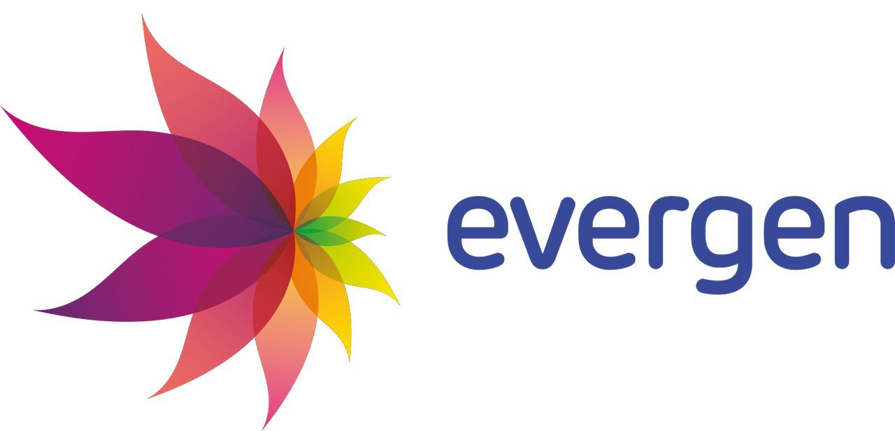 Manager Procurement - PT Evergen Resources
